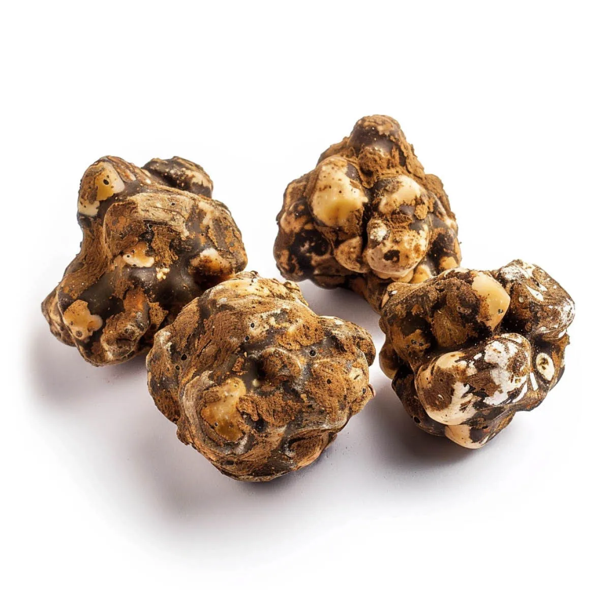 Truffes magiques Pandora — Sclérotes puissants | Azarius